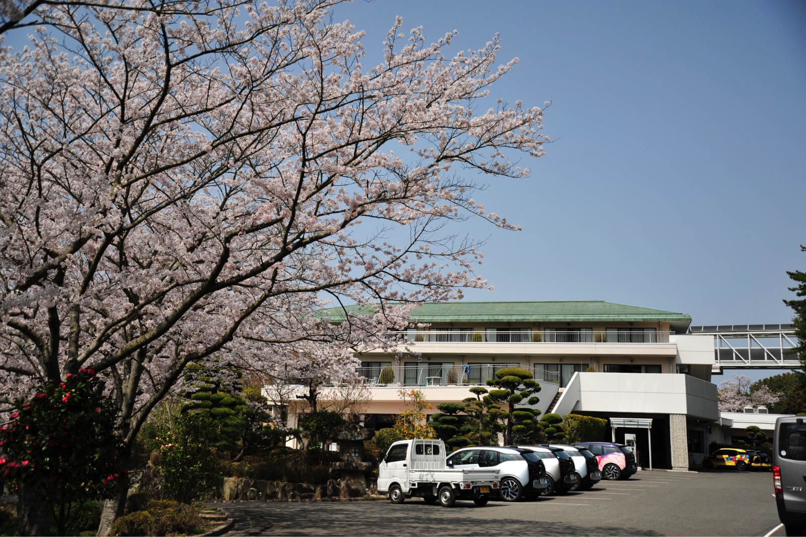 AYF Program - Awaji Youth Federation